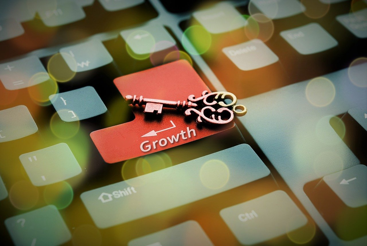 Performance Management System for Organizational Growth - Faber Infinite